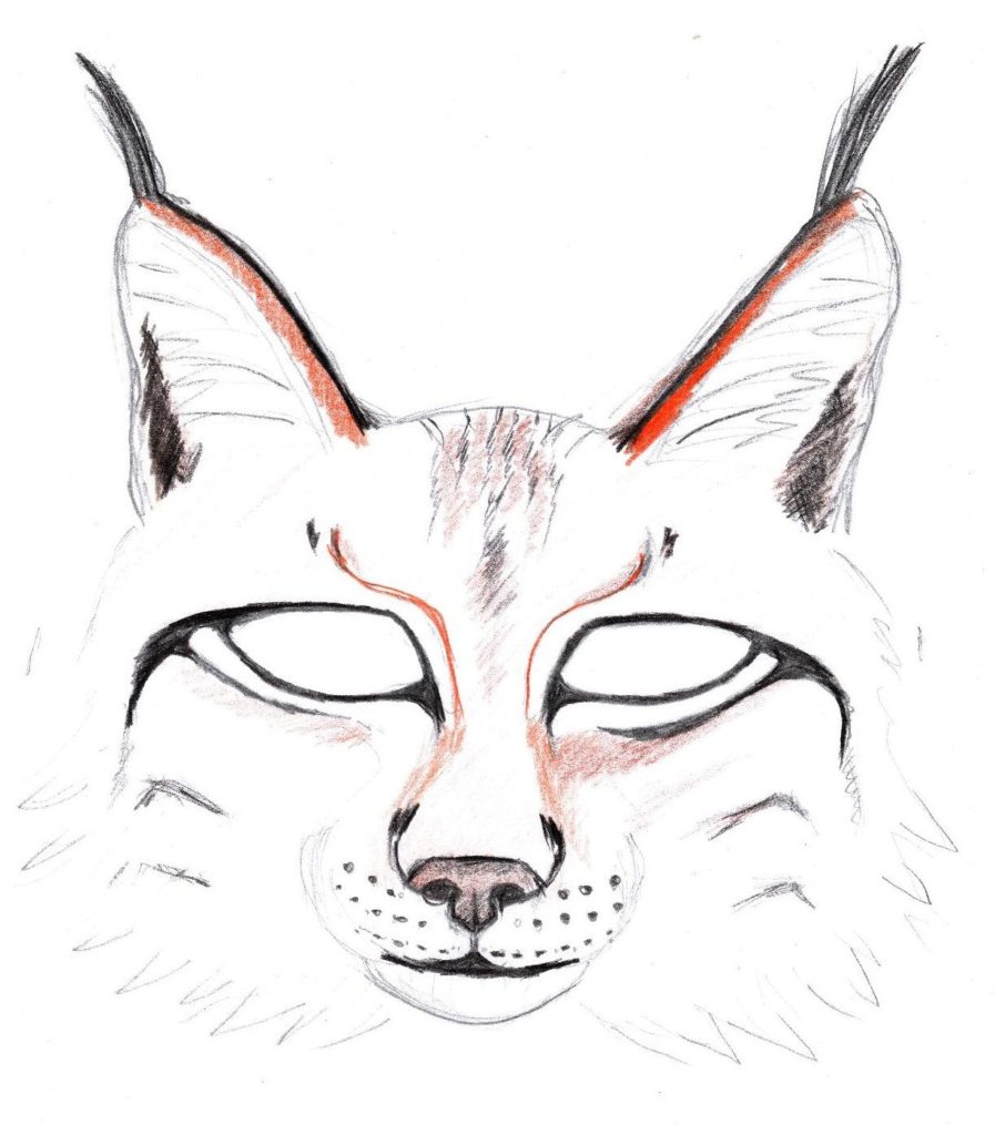 Rys, divočák a filcová partia | Natália Sollárová