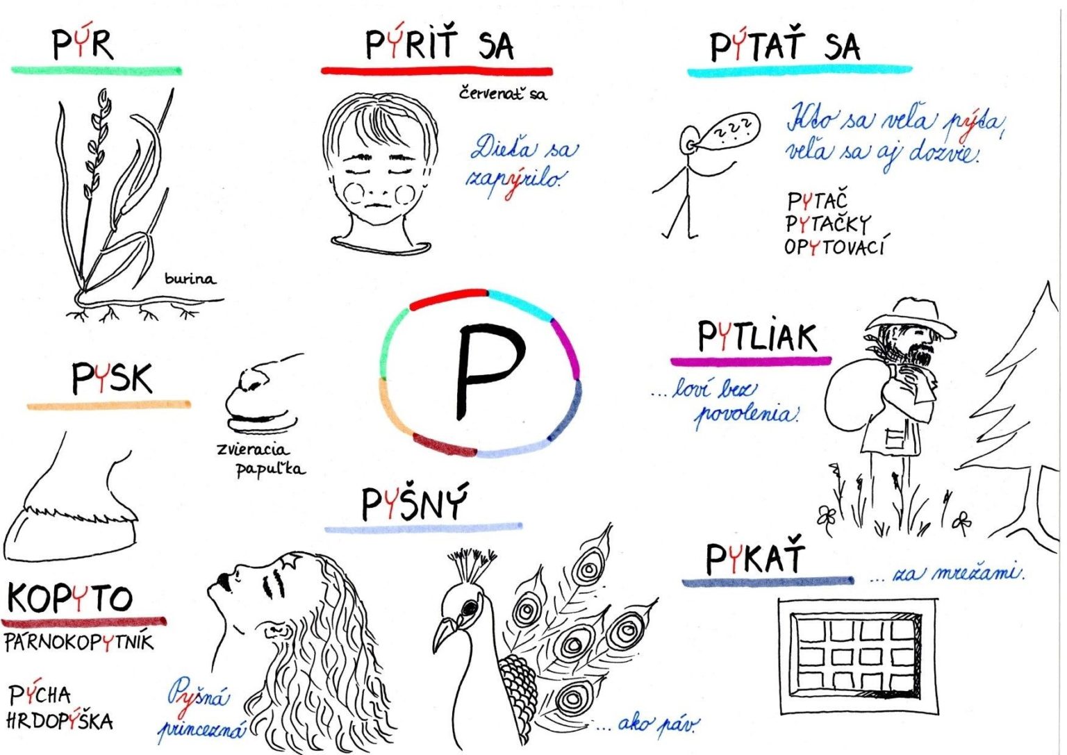 Vybrané slová po „P“ a „R“ | Natália Sollárová